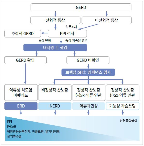 P-CAB, GERD 초기치료에 등재
