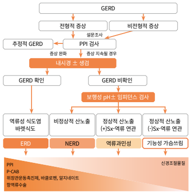 GERD 초치료에 PPI & P-CAB 대등 아시아에서 유병률 증가세